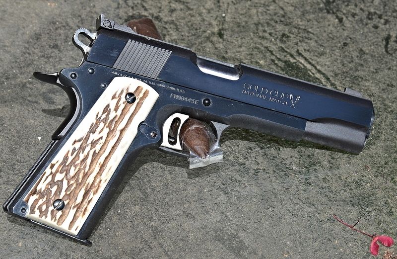 Gold Cup vs Trophy | Colt Forum