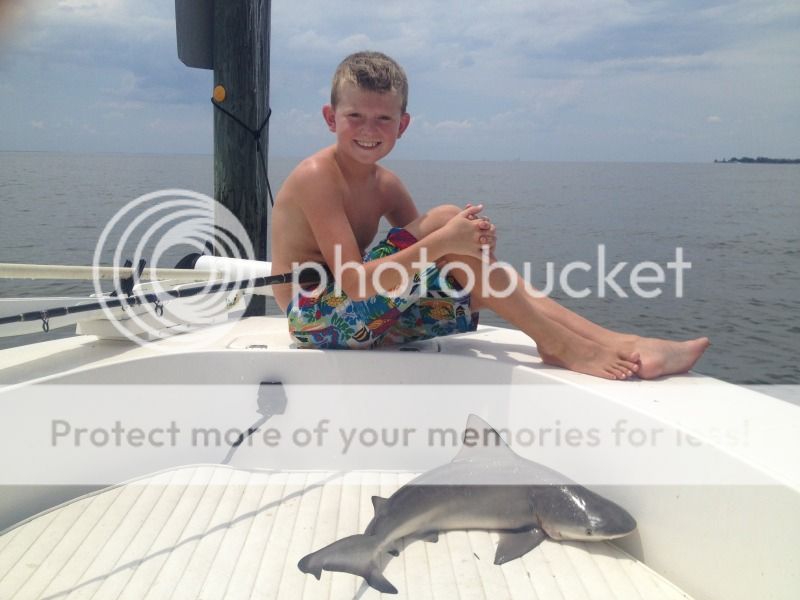 Mobile Bay - Sharks! - 30 June 2013 | Pensacola Fishing Forum