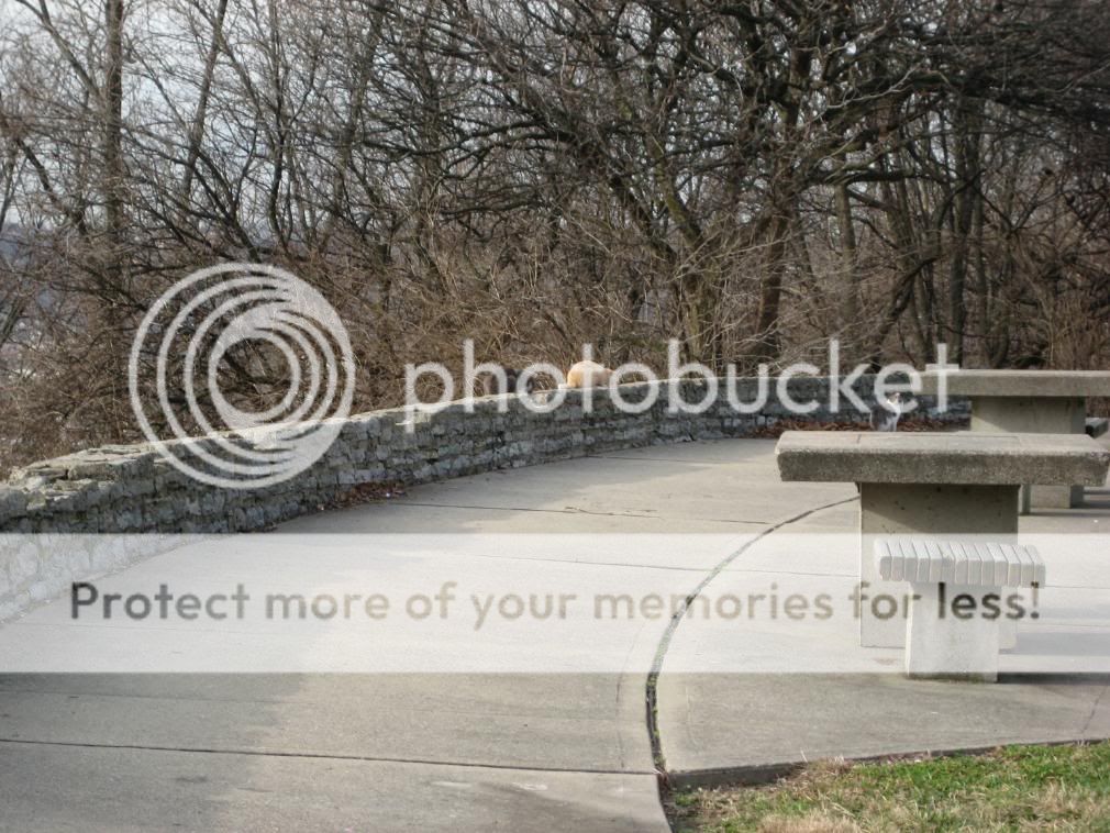 Cincinnati- Bellevue Incline, Price Hill Incline, and Fairview Parks ...