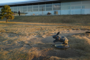 Run rabbit, run rabbit, Run! Run! Run! | fotolife