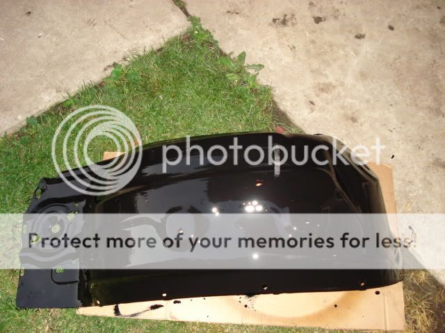 Plastic fender wells for GP 78-80? | GBodyForum - 1978-1988 GM A/G-Body ...