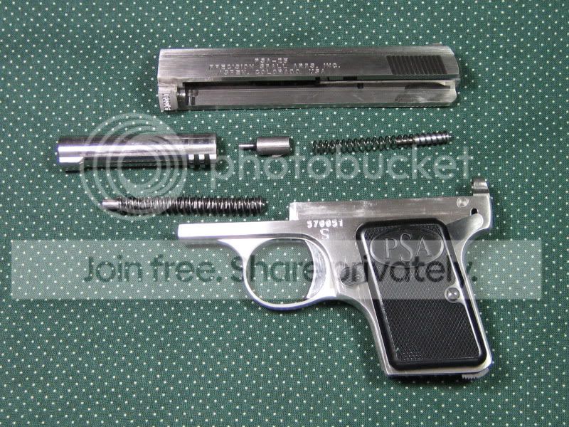 PSA-25: A Gun Review