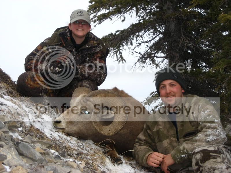 Wife's November Cadomin Alberta Sheep Hunt